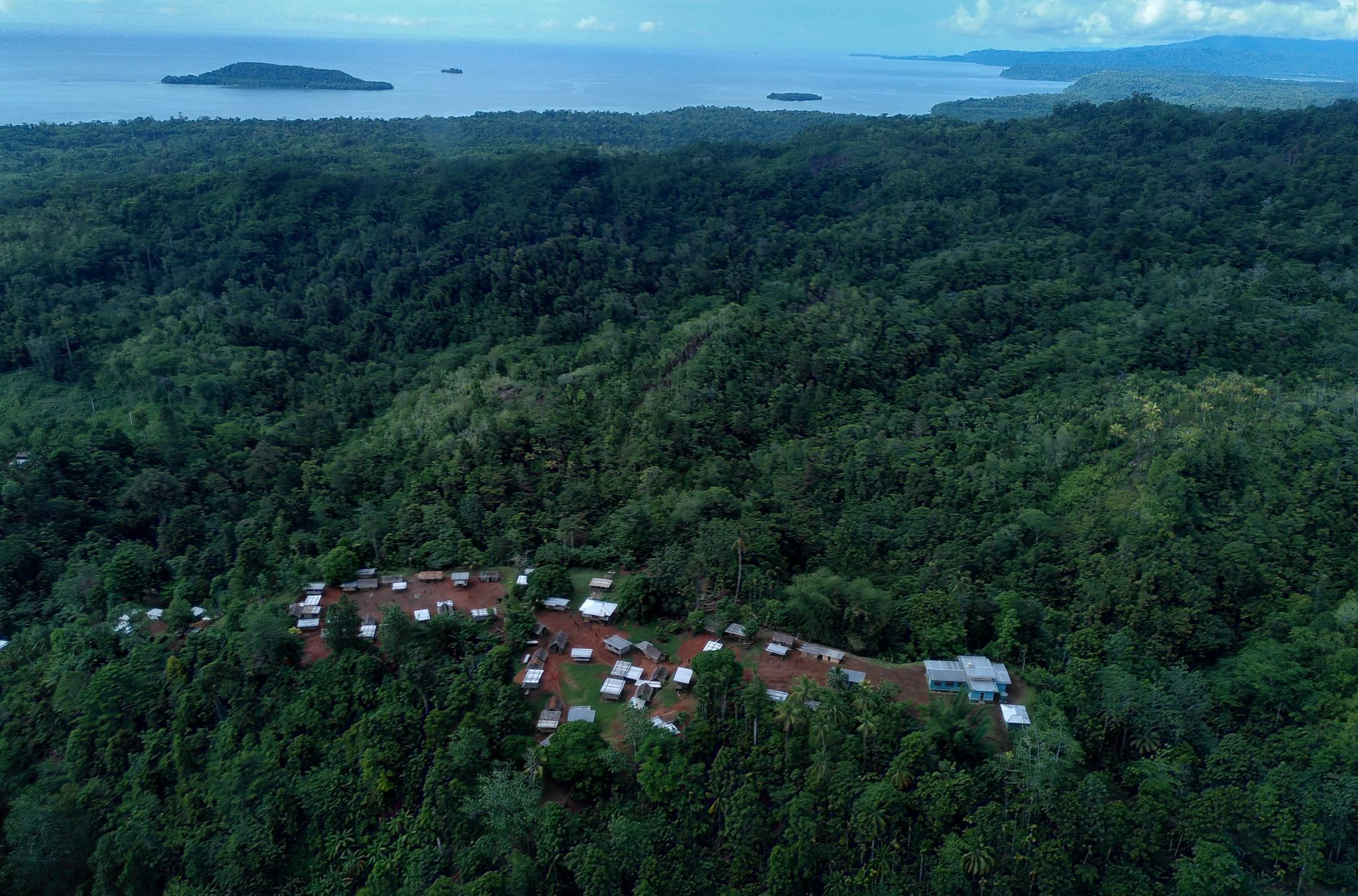Papua New Guinea - Forcert - Treevive