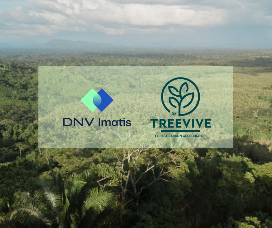 DNV Imatis invests in forest carbon solutions through Treevive - Treevive